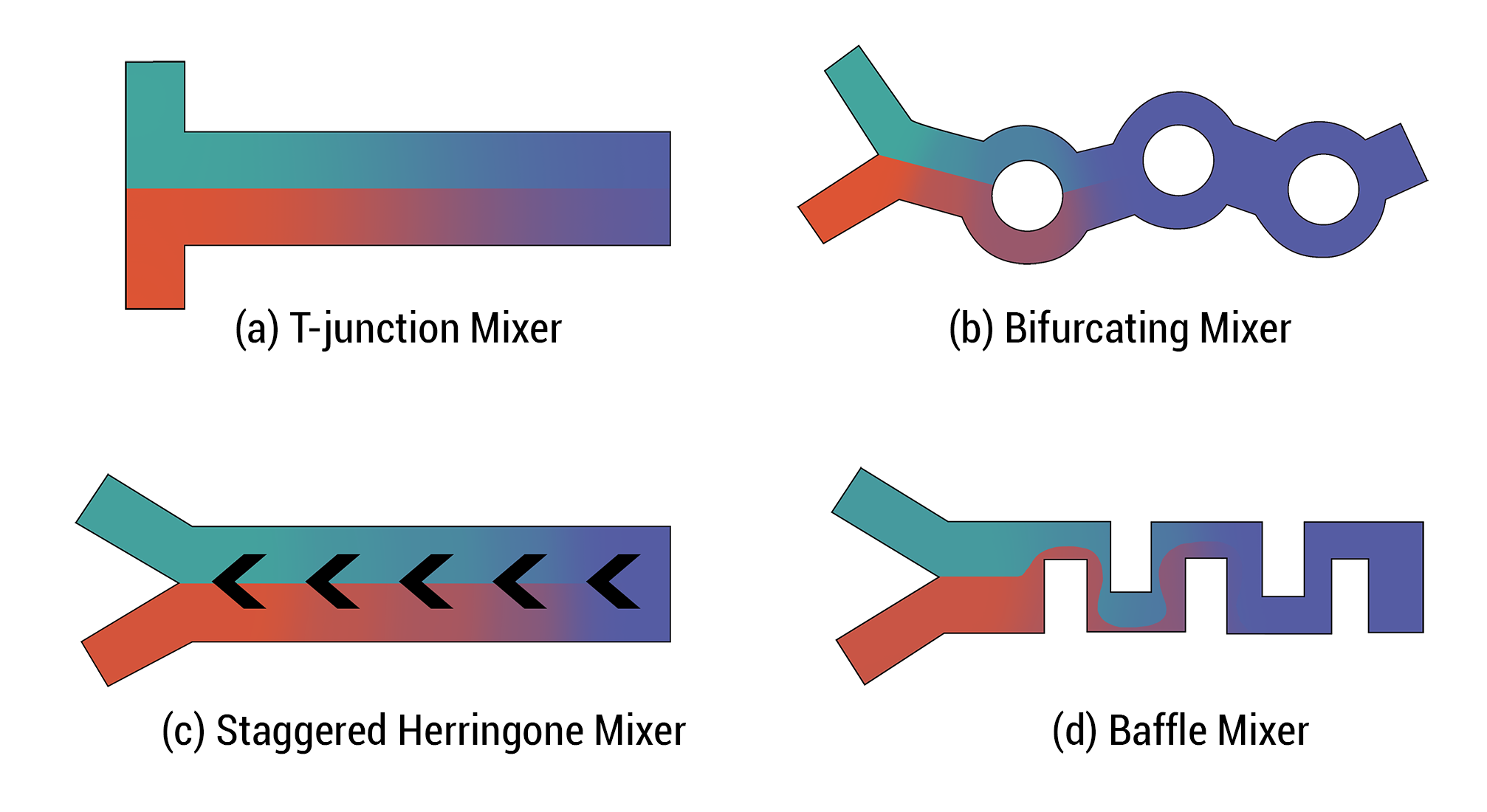 Beyond Lipids: The Science of LNP Manufacturing and Fill Finish
