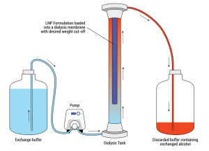 Beyond Lipids: The Science of LNP Manufacturing and Fill Finish
